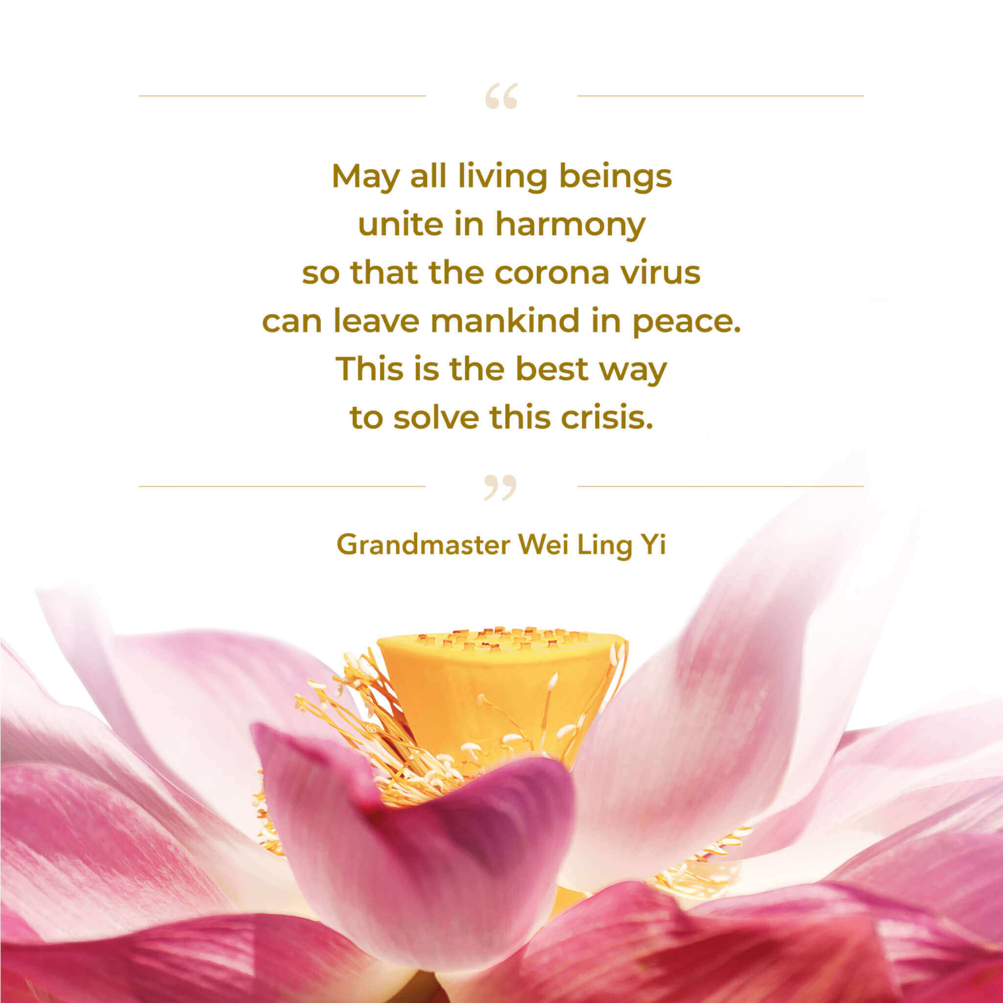 Famous Virology Quotes Jenny Kierstead | Yesterday We Led A